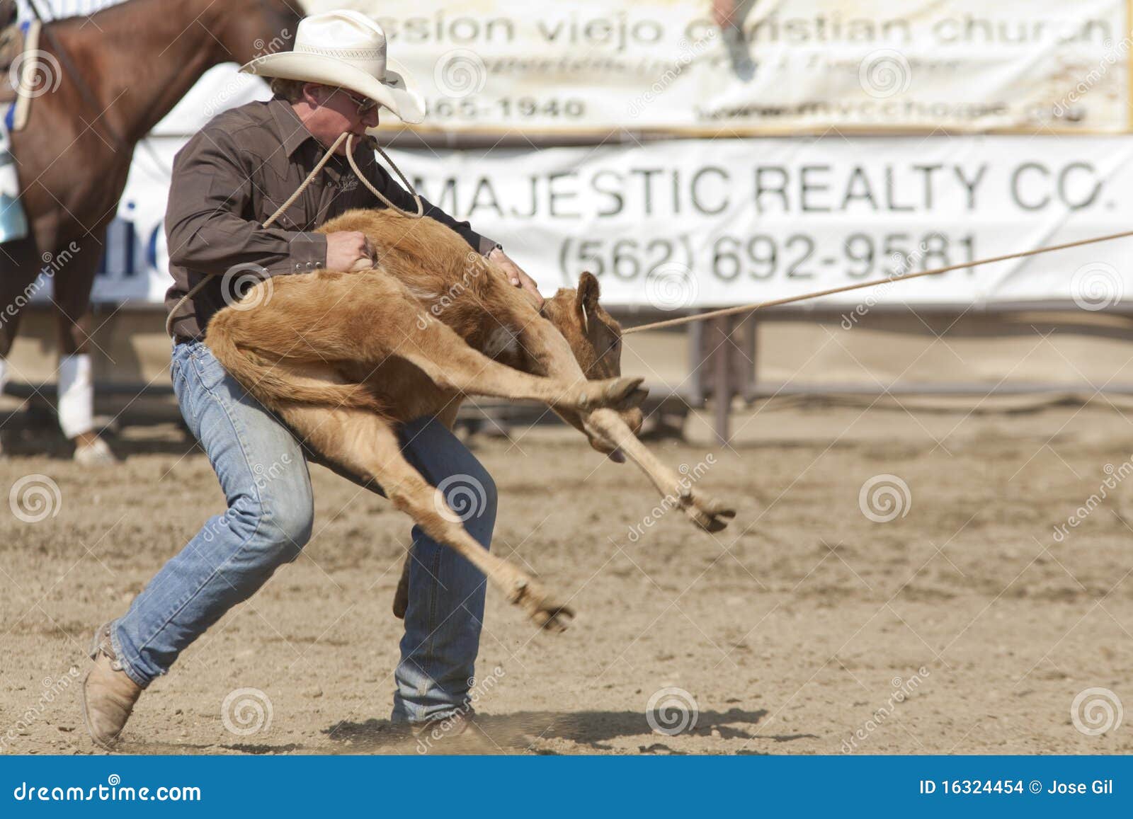 Rodeo Tie Down Roping editorial stock image. Image of horizontal - 16324454