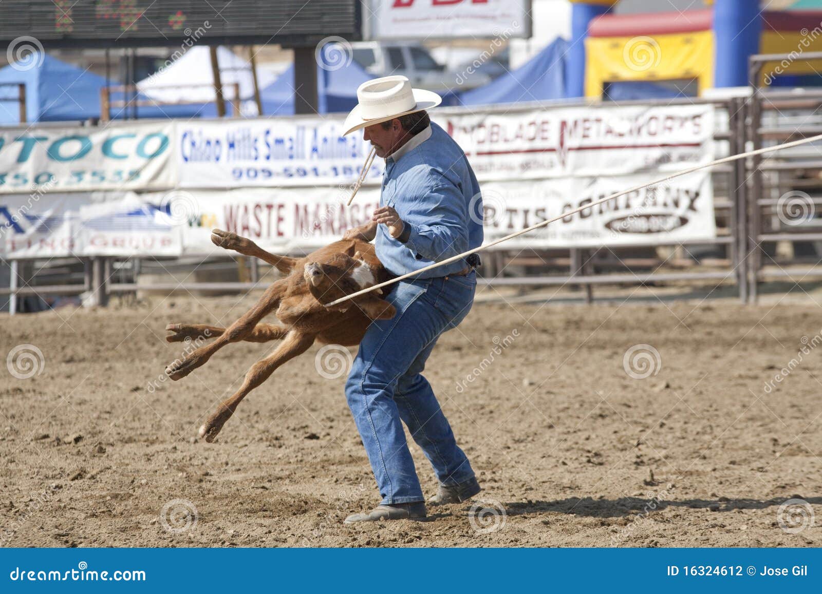 Rodeo Tie Down Roping editorial photography. Image of sport - 16324612