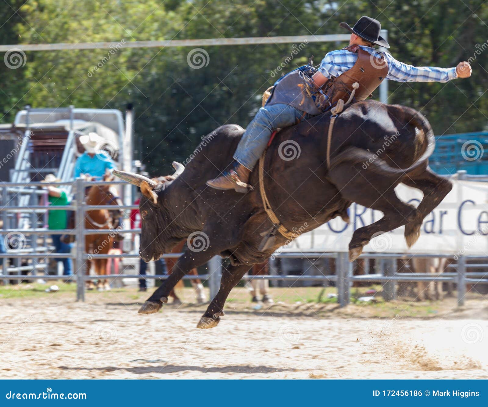 Rodeo un deporte extremo foto editorial. Imagen de aprovechar - 172456186
