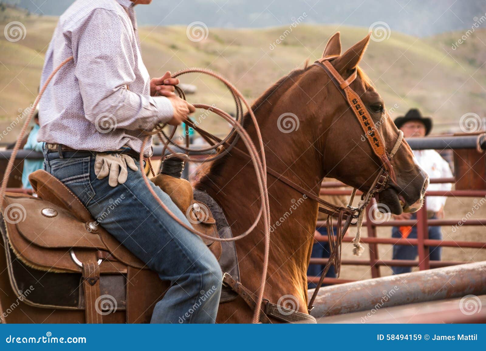Rodeo Wrangler imagen de archivo. Imagen de rodadura - 58494159