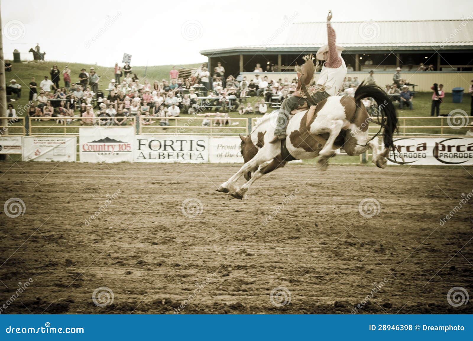 Rodeo y vaqueros foto de archivo editorial. Imagen de jinete - 28946398