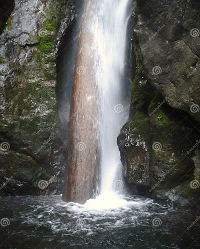 Rodney Falls stock photo. Image of nature, washington - 3438778