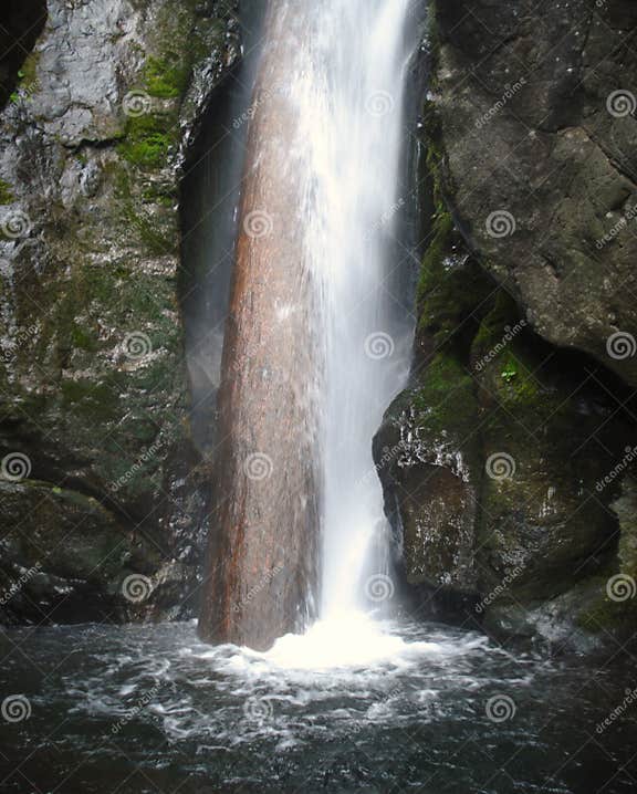 Rodney Falls stock photo. Image of nature, washington - 3438778