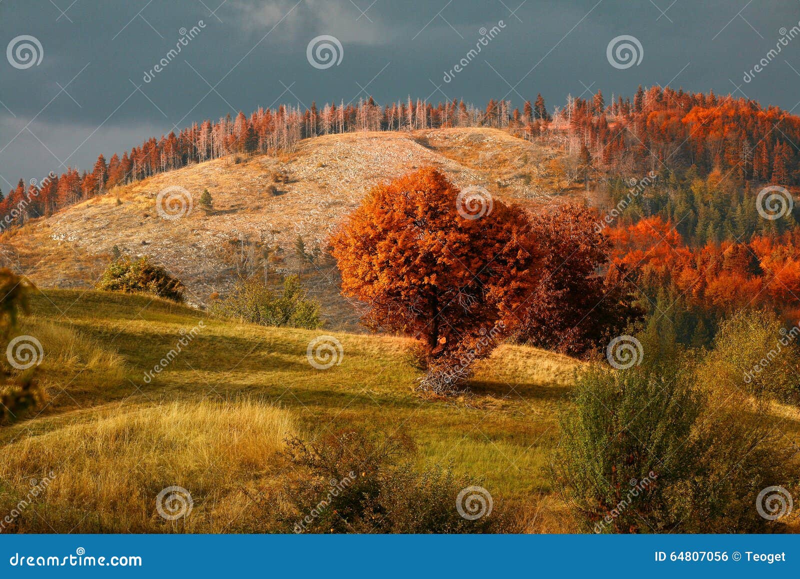 Rodopa mountain stock photo. Image of town, rodopa, romantic - 64807056