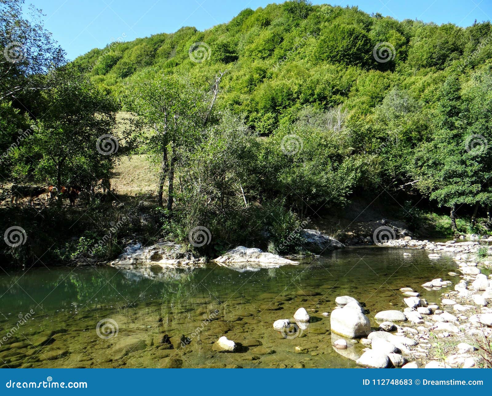 Rodopa mountain stock image. Image of mountain, rodopa - 112748683