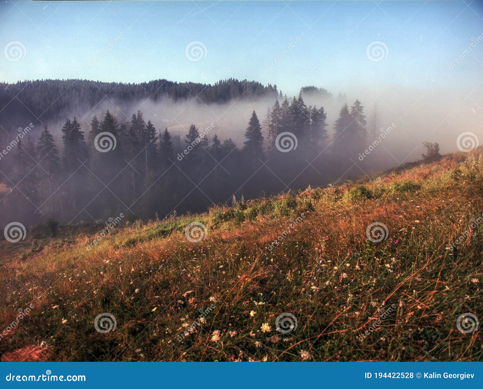 Rodopi Mountains - Morning Forest Stock Photo - Image of coast, double ...
