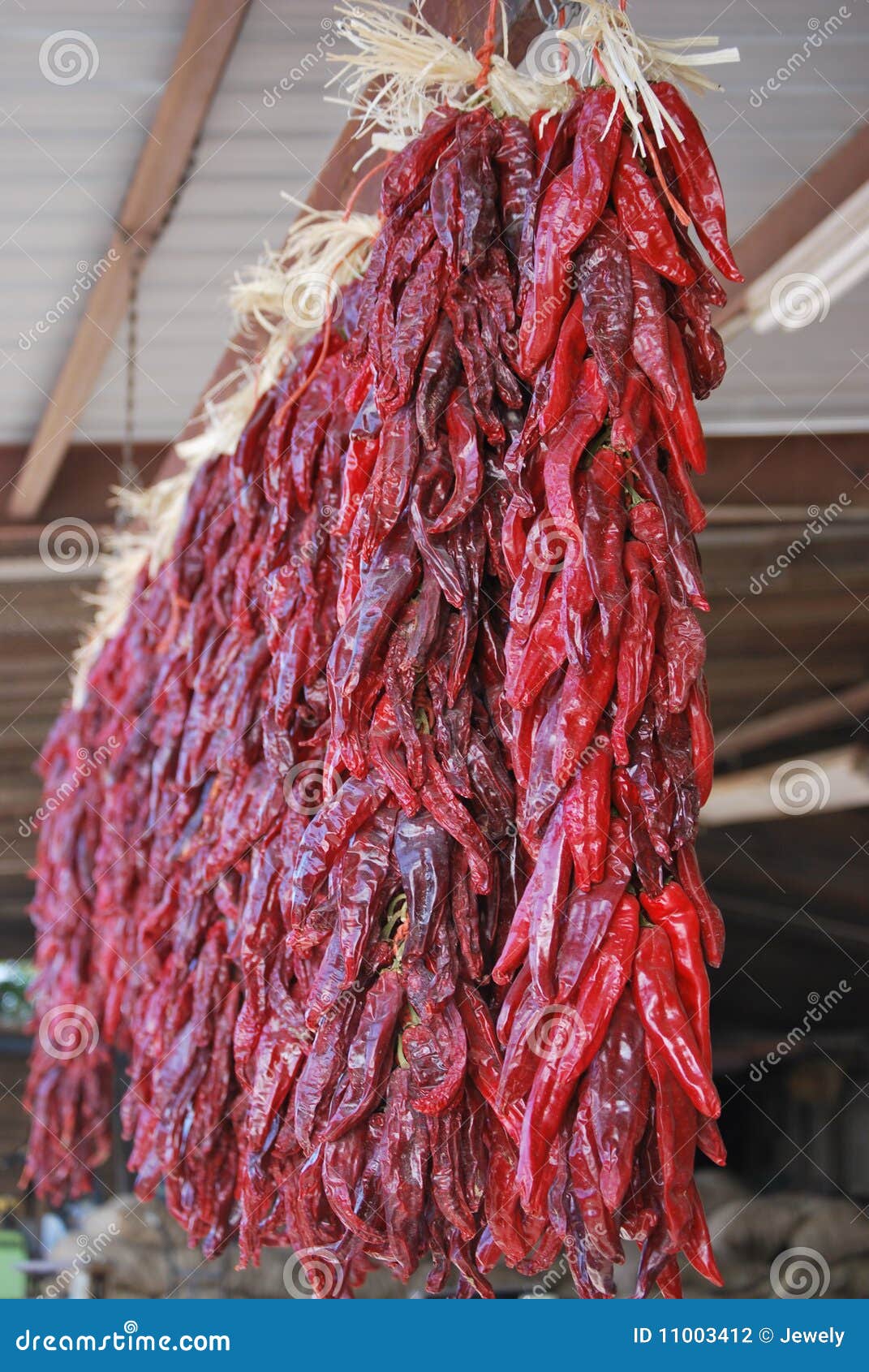 Roe of chile ristras stock photo. Image of chile, pepper - 11003412