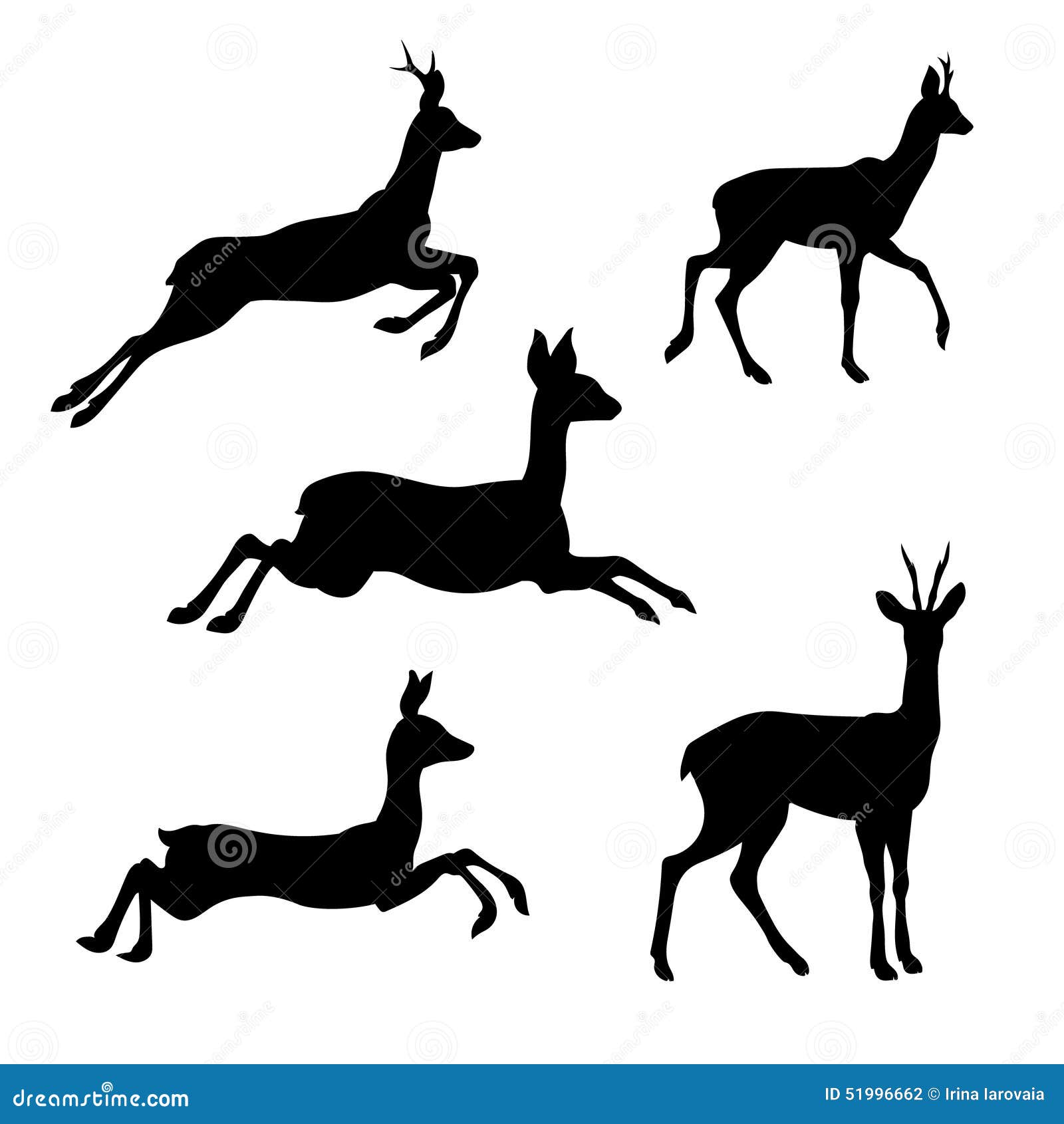 Roe set vector stock vector. Illustration of stands, jumping - 51996662