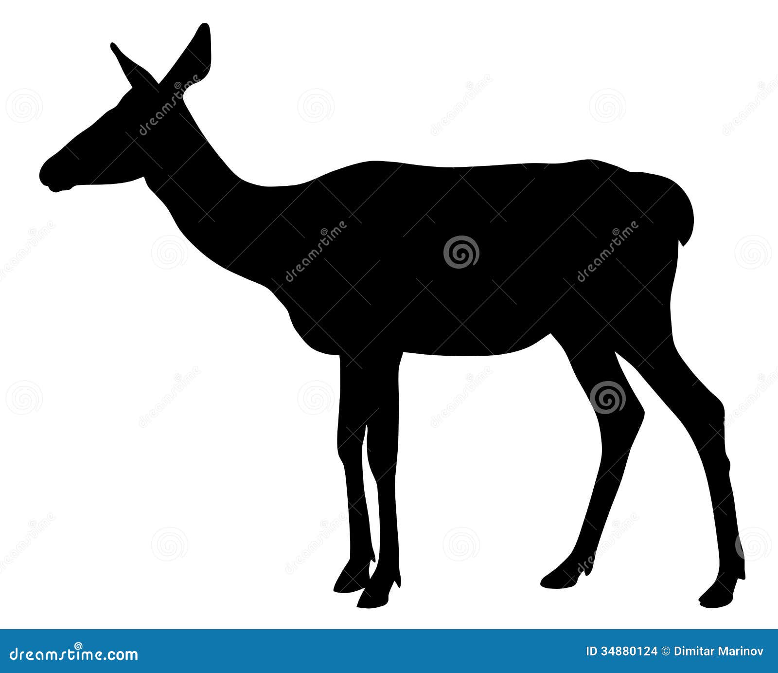 Roe stock illustration. Illustration of mammal, hind - 34880124