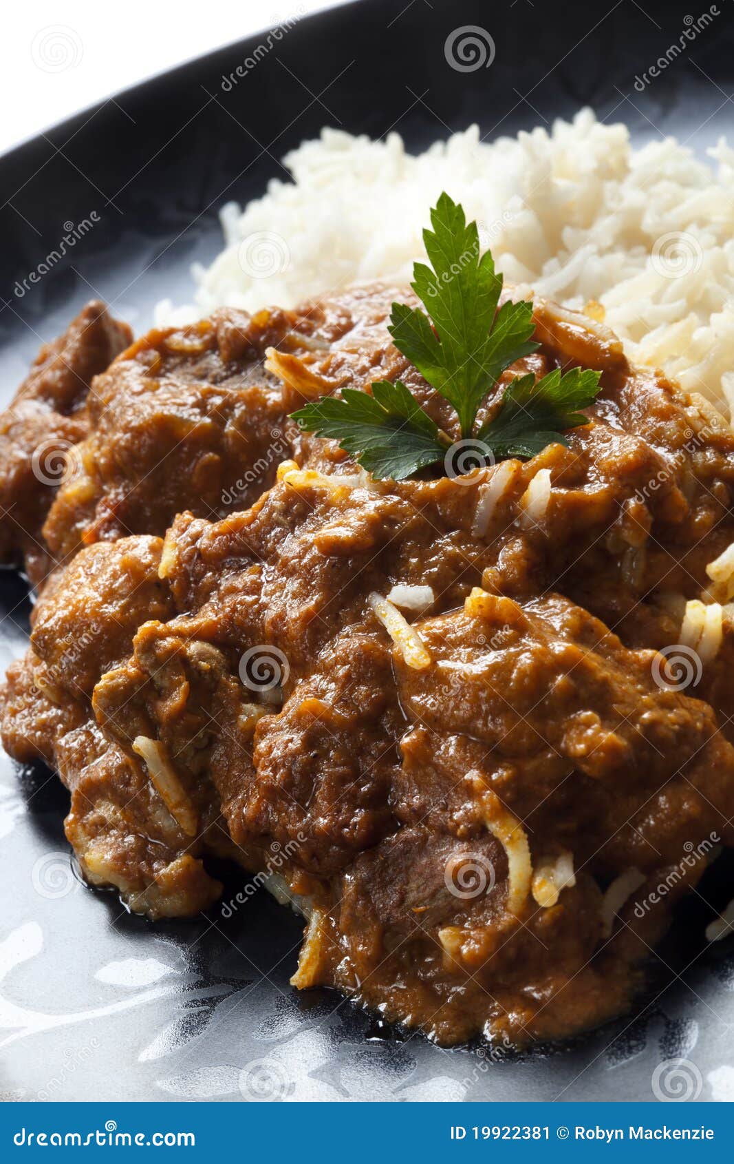 Rogan Josh stock image. Image of photograph, stew, rogan - 19922381