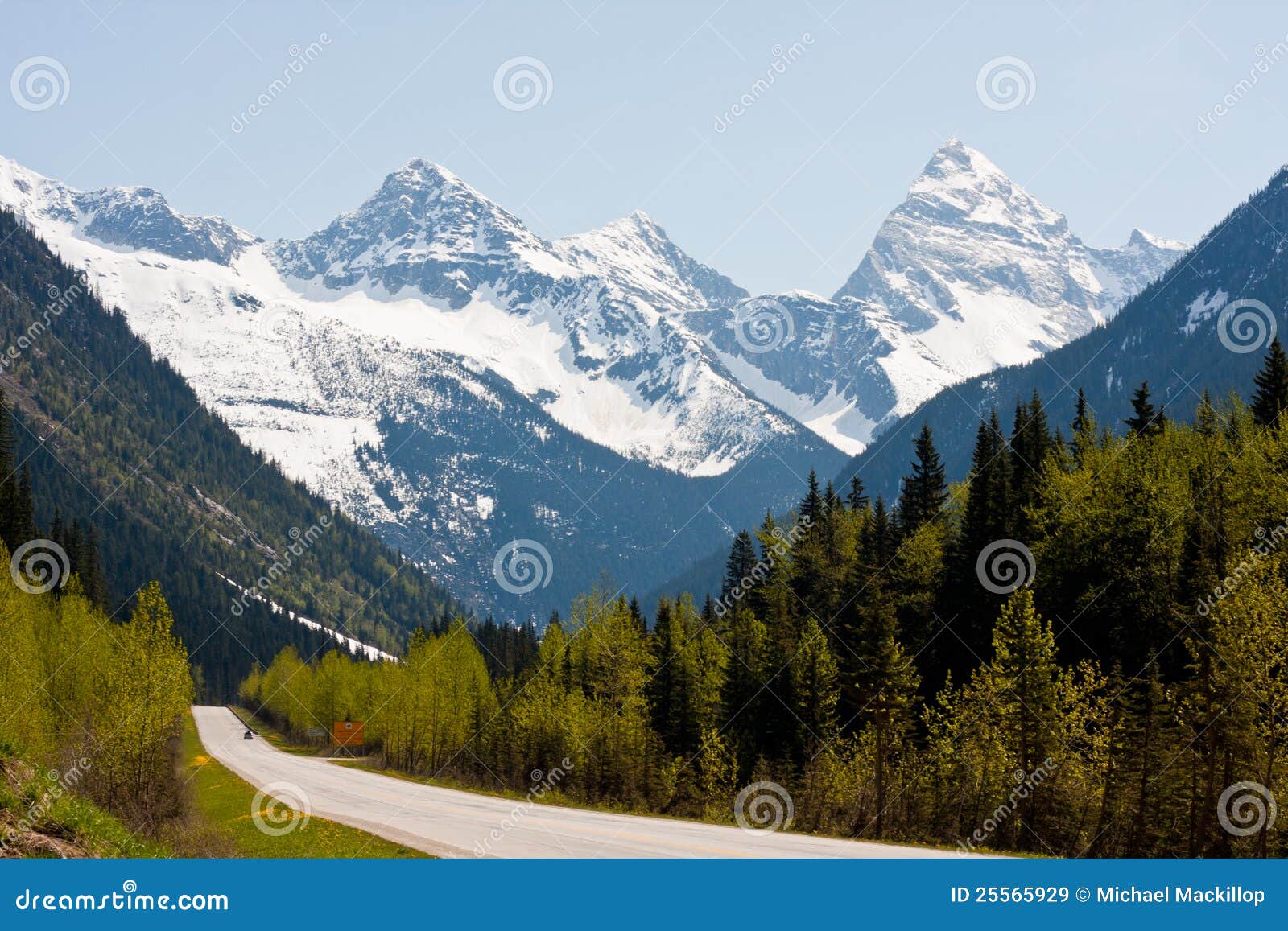 Rogers Pass stock image. Image of rockies, trees, rocky - 25565929