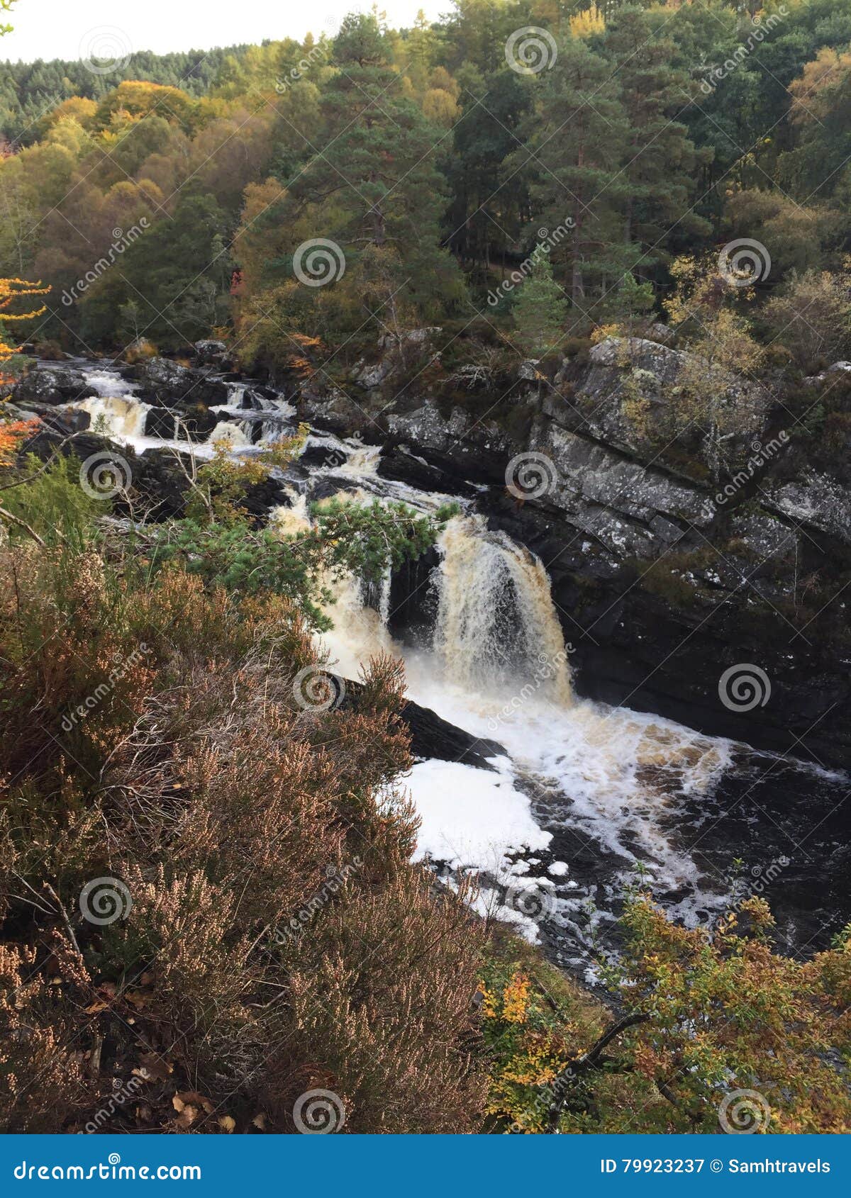 Rogie Falls / Waterfall stock image. Image of beautiful - 79923237