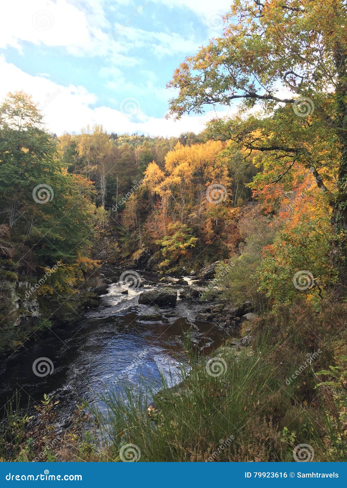 Rogie Falls / Waterfall stock photo. Image of scottish - 79923616
