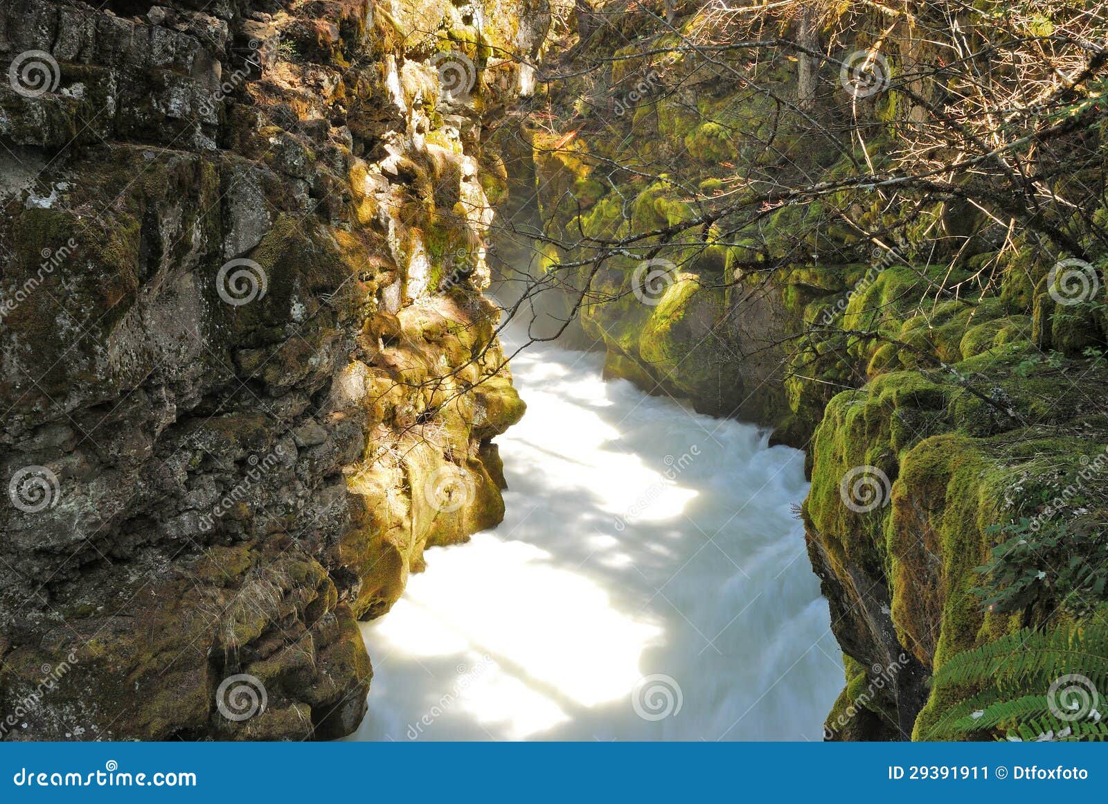 Rogue Gorge stock image. Image of river, forest, rogue - 29391911