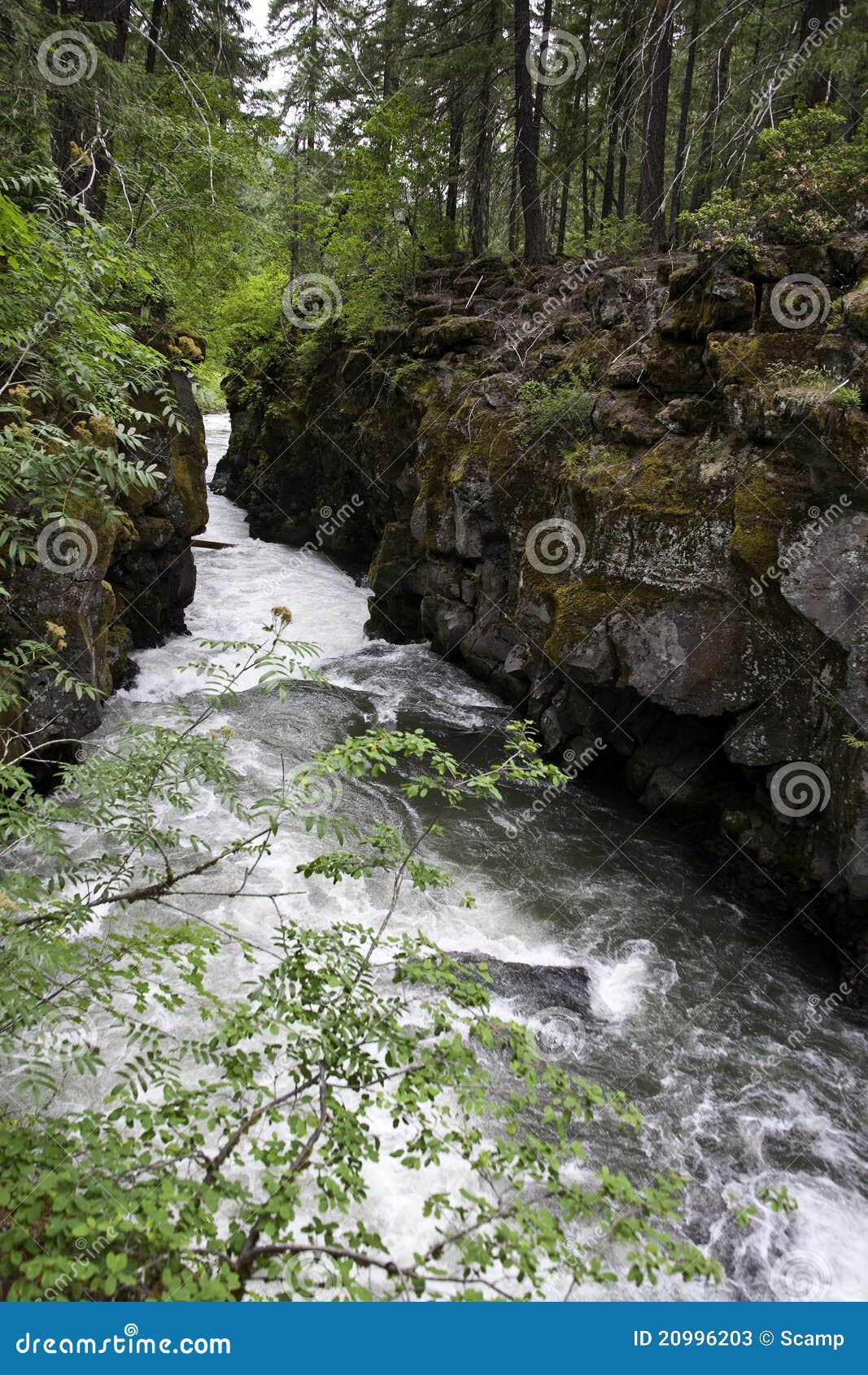 Rogue River Gorge, Oregon stock image. Image of water - 20996203
