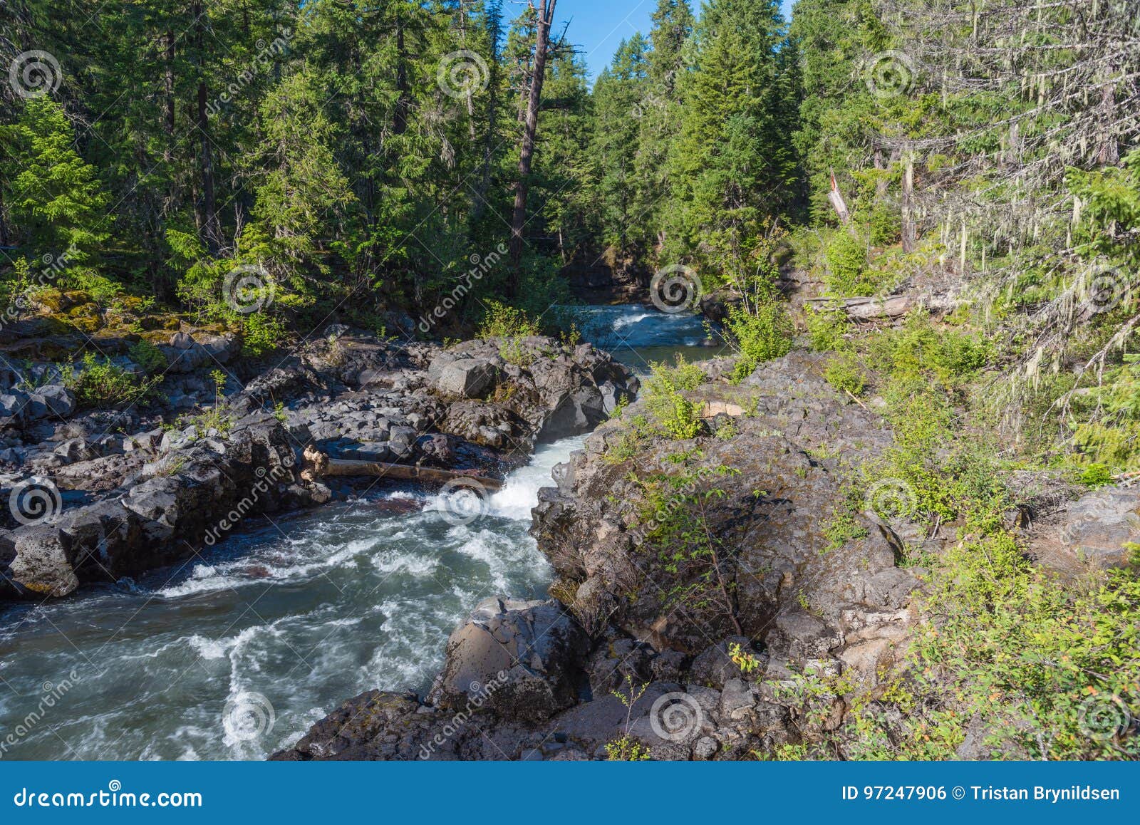 Rogue River-Siskiyou National Forest Arkivfoto - Bild av klyfta ...