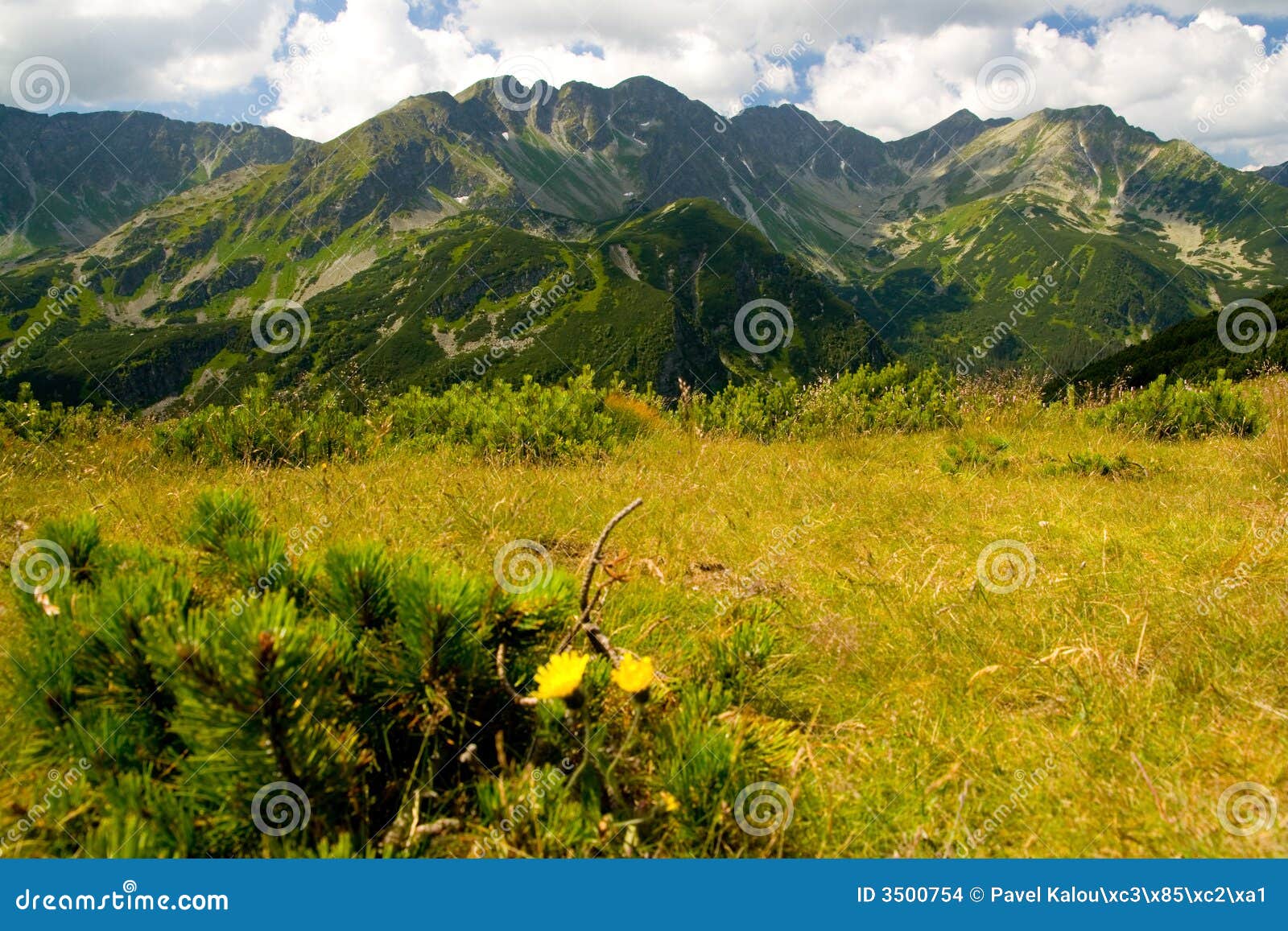 Rohace Mountains in Slovakia Stock Photo - Image of rohace, west: 3500754
