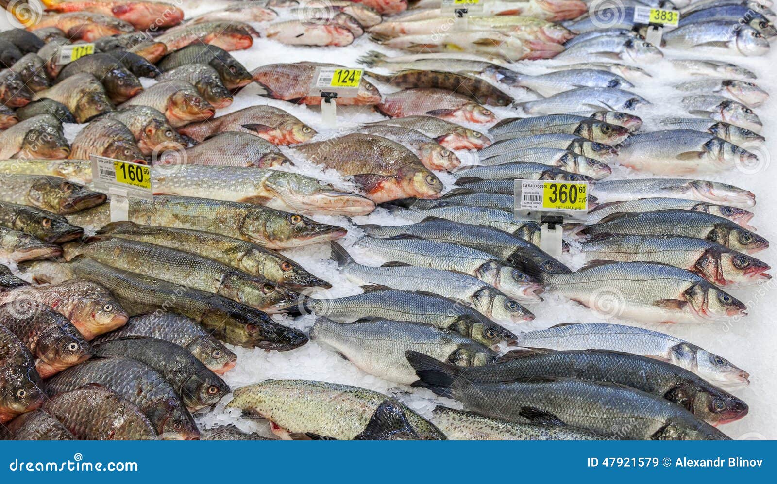 Rohe Fische Bereit Zum Verkauf Redaktionelles Stockbild - Bild von ...