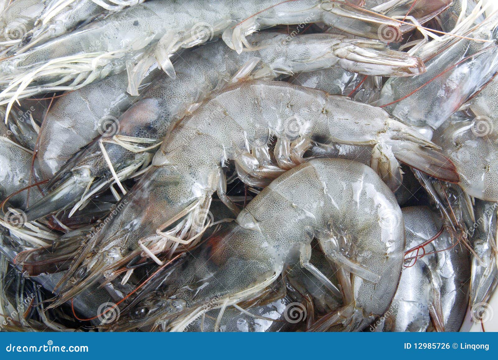 Rohe Garnele stockfoto. Bild von meer, vorbereitung, markt - 12985726
