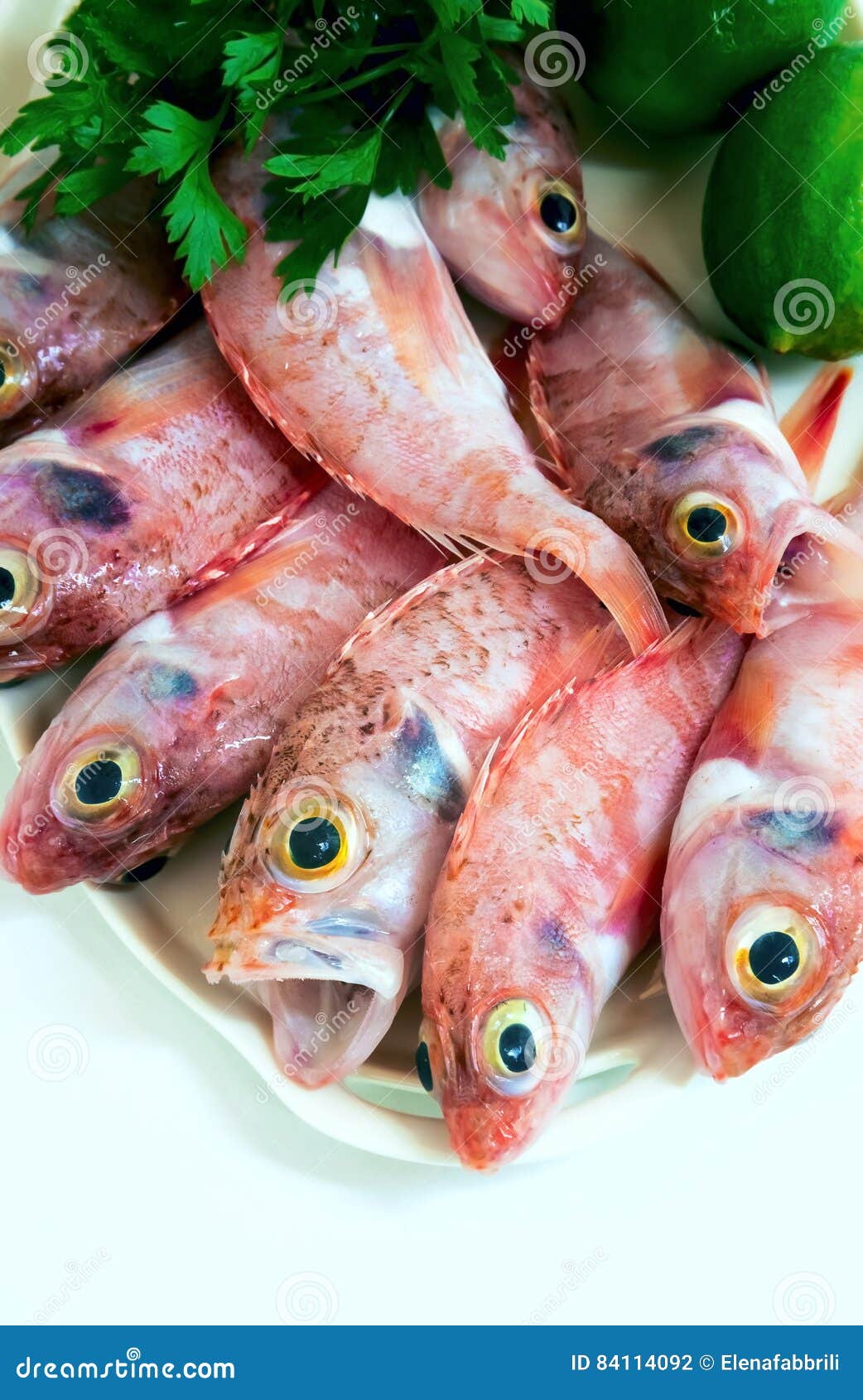 Rohe rote Fische stockfoto. Bild von umwelt, frisch, küche - 84114092