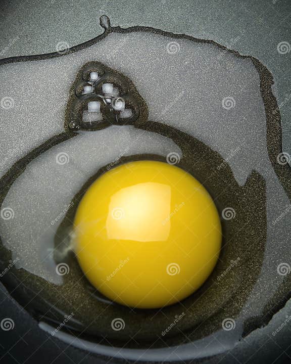Rohes Ei in Einer Bratpfanne Stockbild - Bild von potentiometer ...