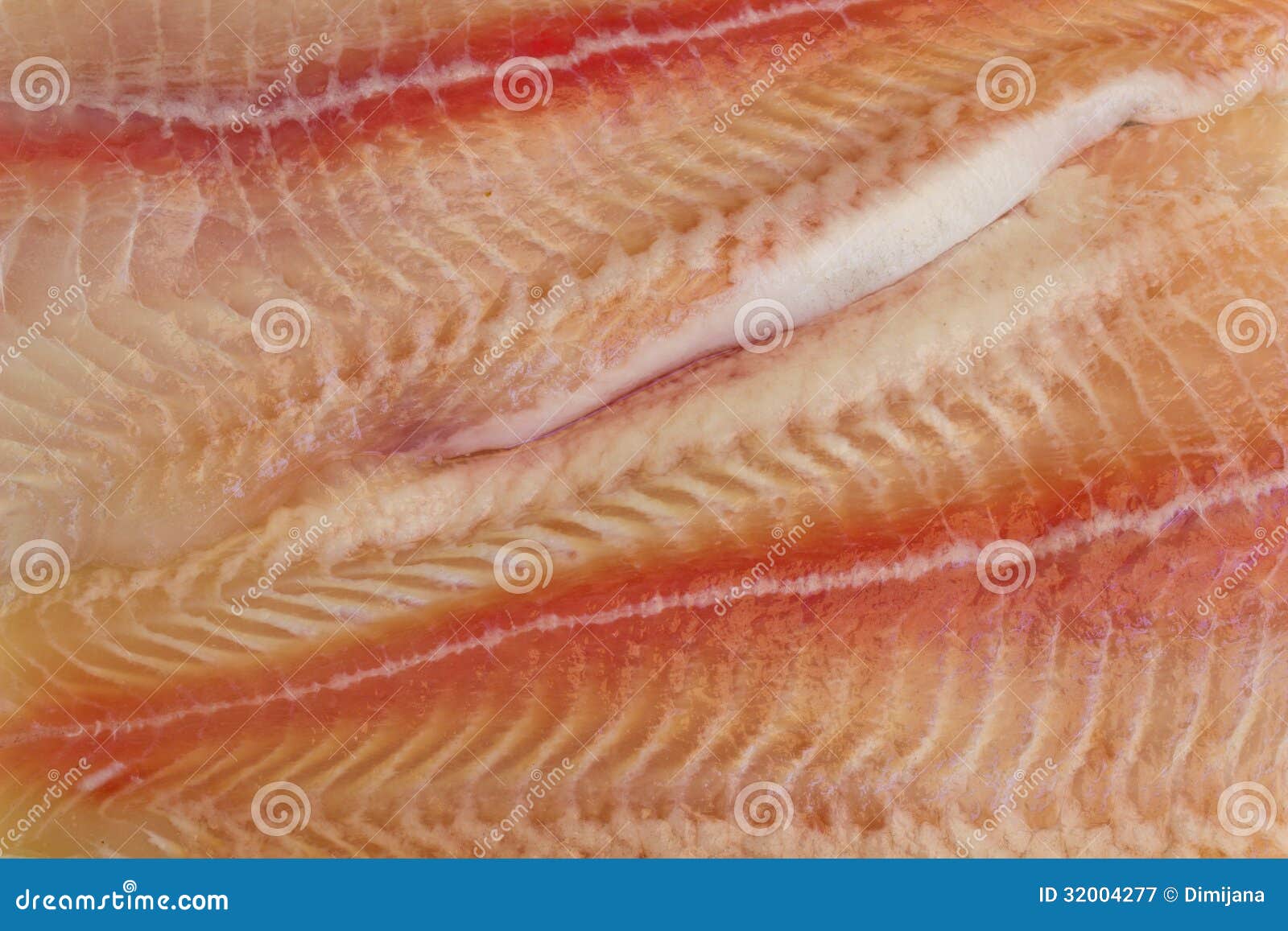 Rohes Fischfilet stockbild. Bild von makro, kochen, scheibe - 32004277