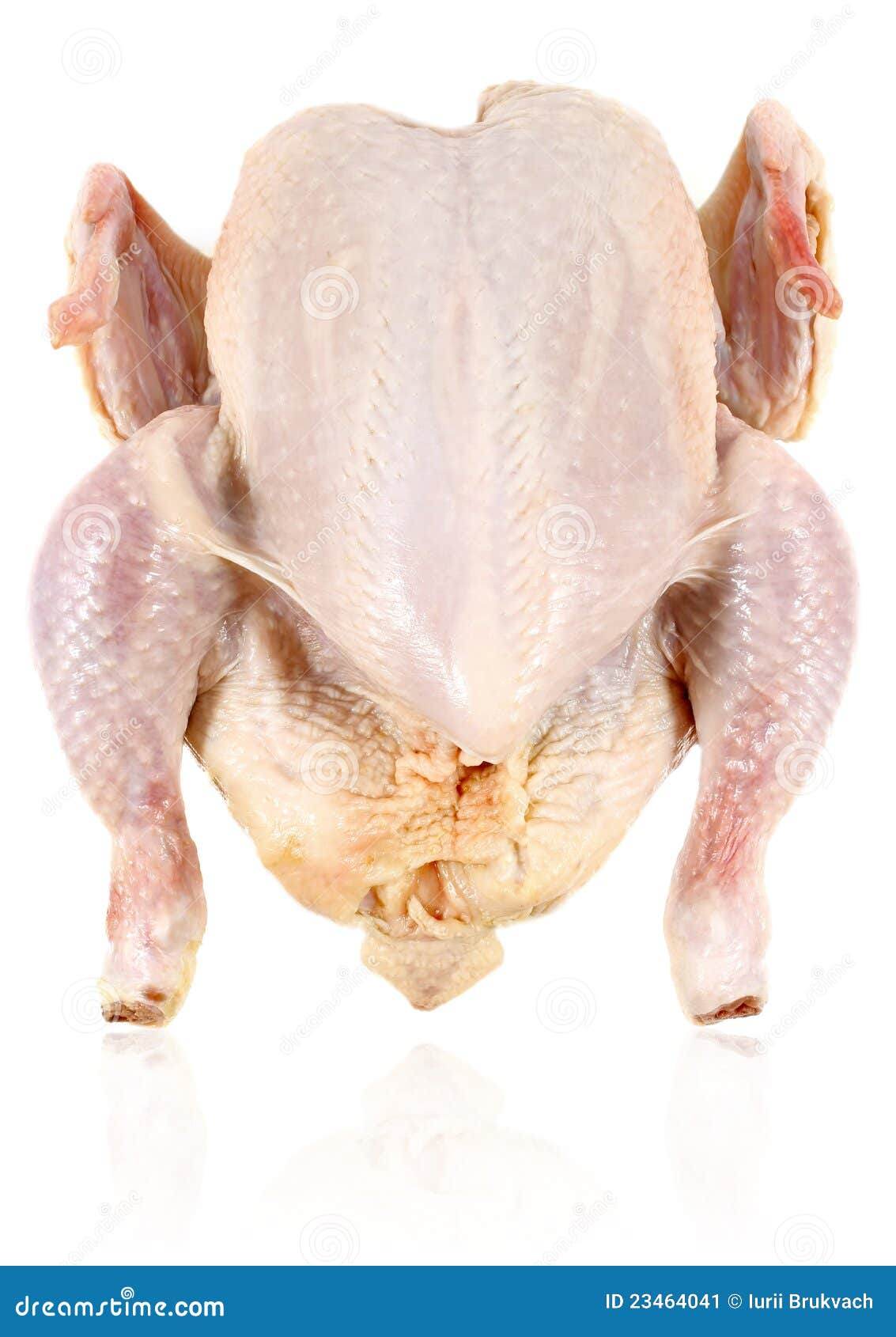 Rohes Huhn stockbild. Bild von essen, ernähren, diät - 23464041