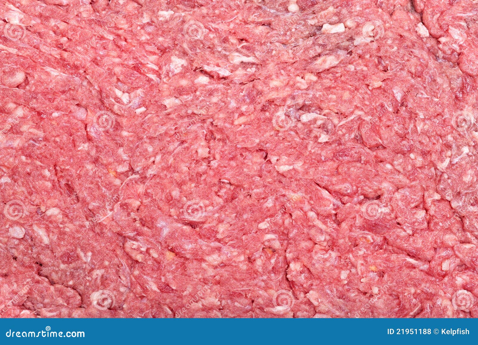 Rohes Rinderhackfleisch stockfoto. Bild von boden, frische - 21951188