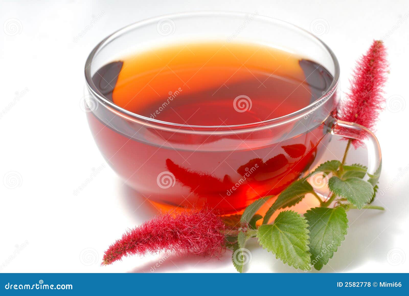 Roi bos tea in glass stock photo. Image of liquid, flower - 2582778