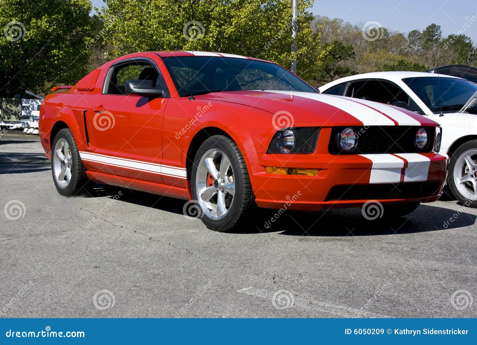 Rojo 2008 De GT Del Mustango De Ford Imagen de archivo - Imagen de ...