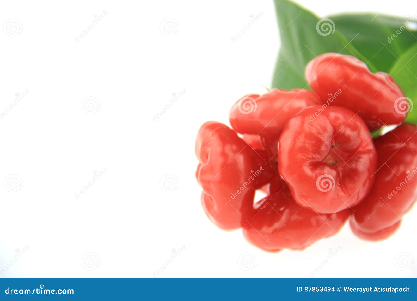 Rojo Del Color De La Manzana De Java Foto de archivo - Imagen de fruta ...