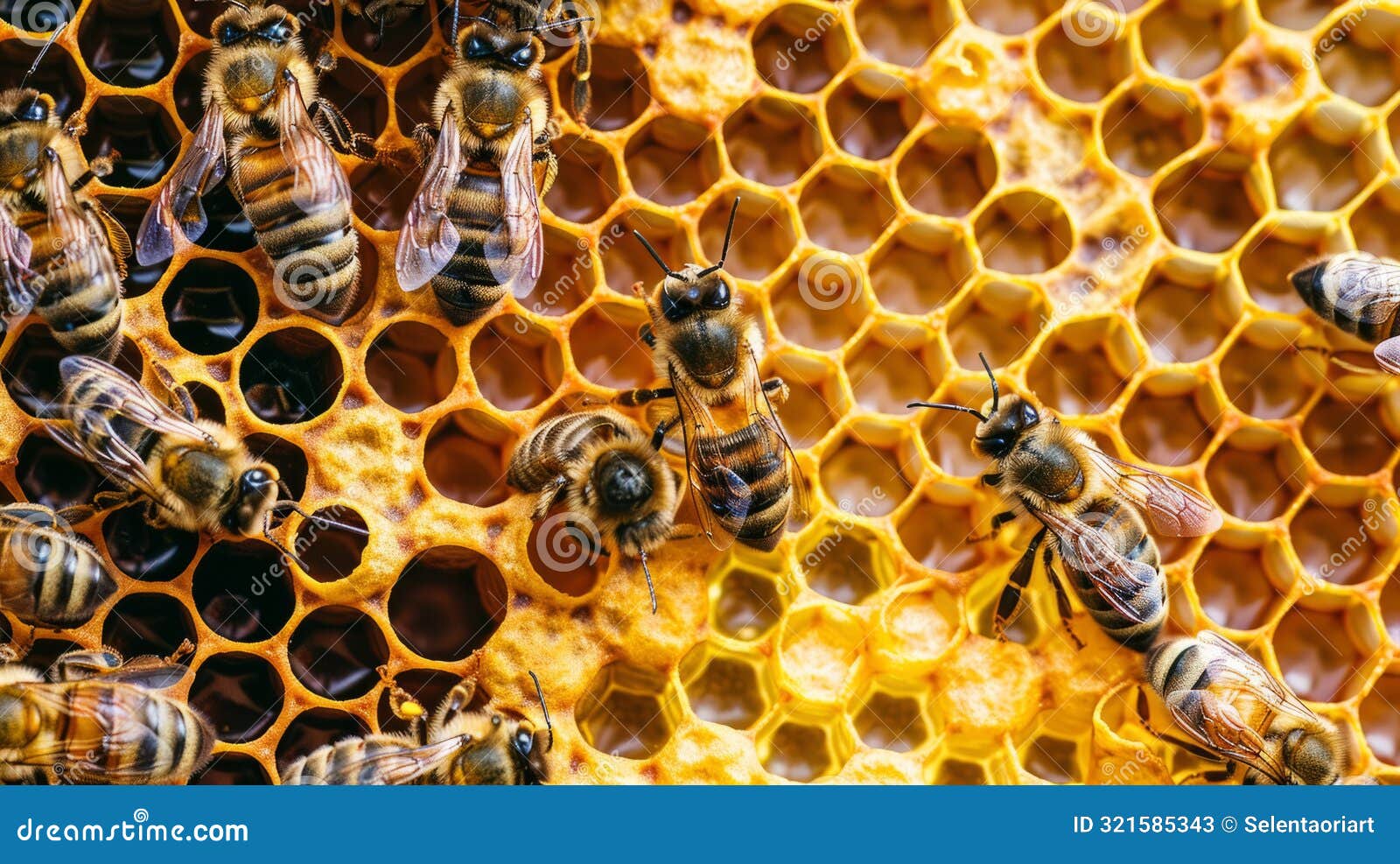 Role of Bees in Natural Habitats Stock Illustration - Illustration of ...