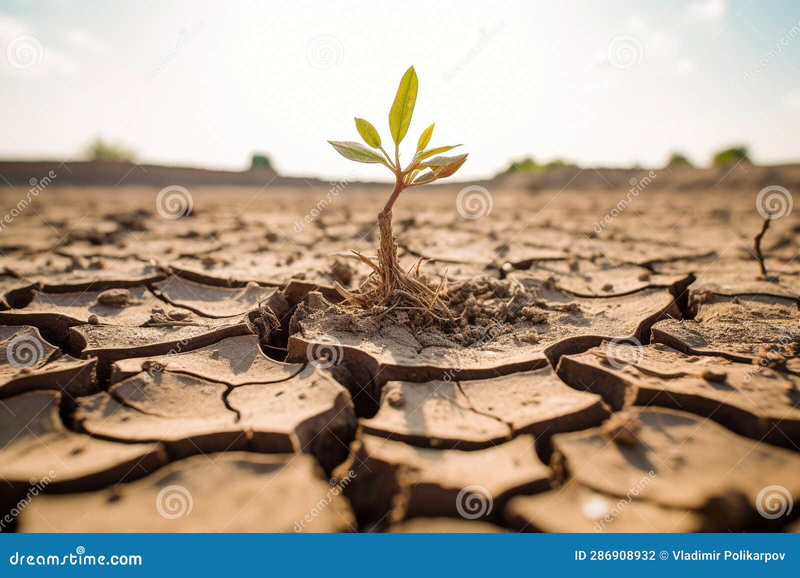 The Role of Drought Recovery and Restoration Effort Stock Illustration ...