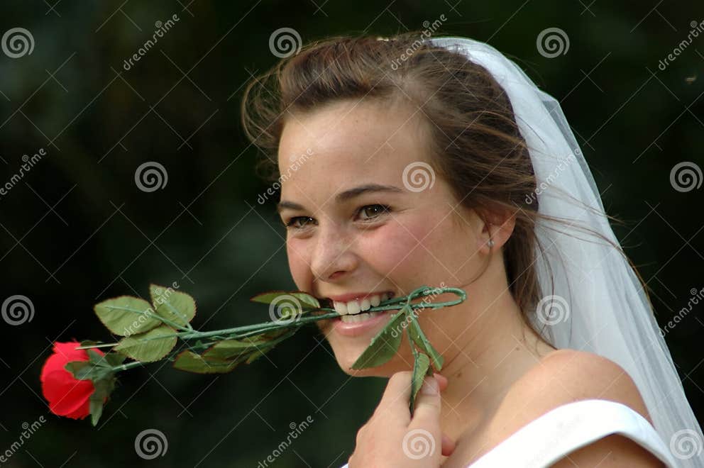 Rolig brud arkivfoto. Bild av kaukasisk, blomma, fniss - 17721358