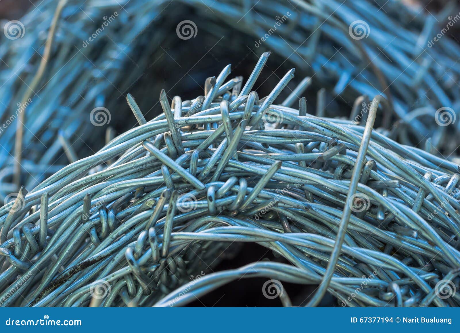 Roll of barb wire stock photo. Image of shape, reel, shiny - 67377194