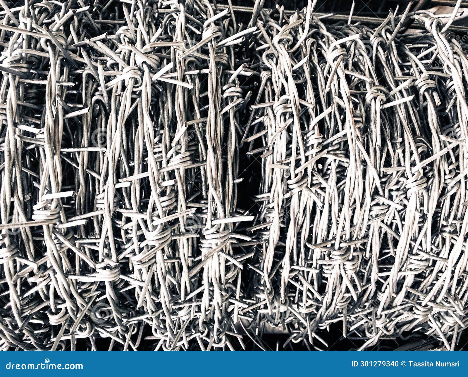 Roll Barbed Wire Fence Isolated . Roll of Barbwire with Carry Handle ...