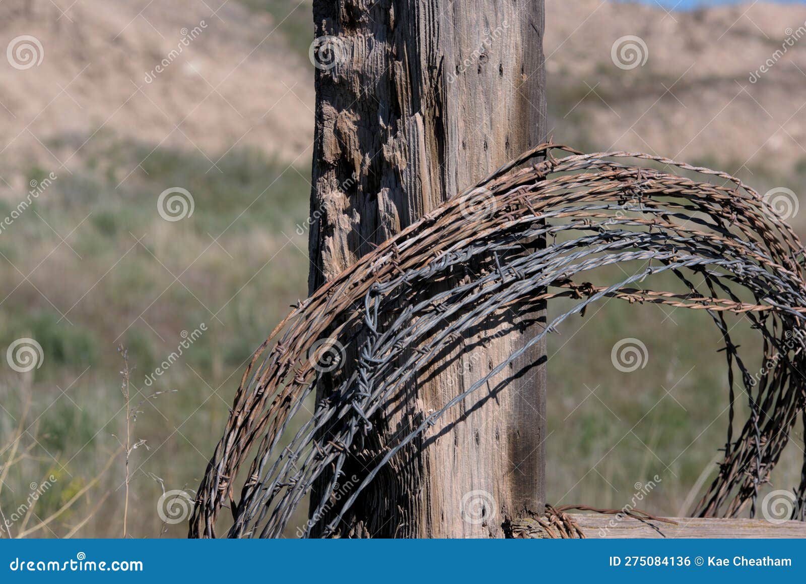 Roll of Barbed Wire on an Old Fence Post Stock Photo - Image of wire ...