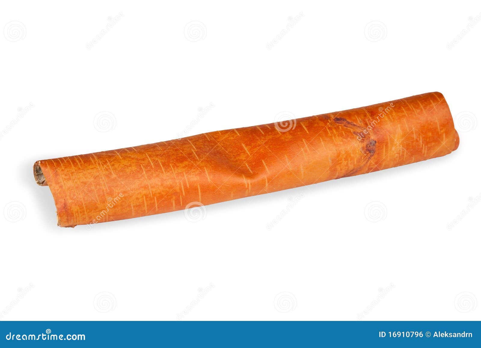 Roll of birch bark stock photo. Image of writing, bark - 16910796