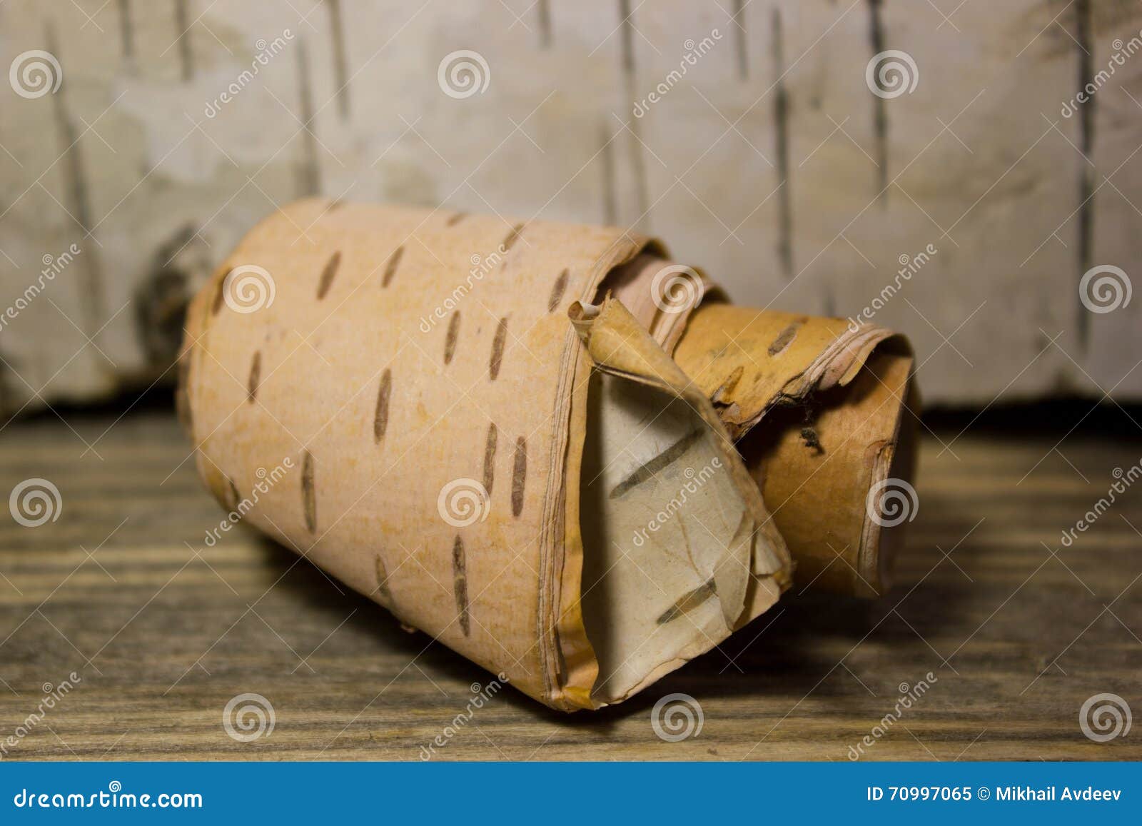 Roll of birch Bark stock image. Image of texture, birch - 70997065