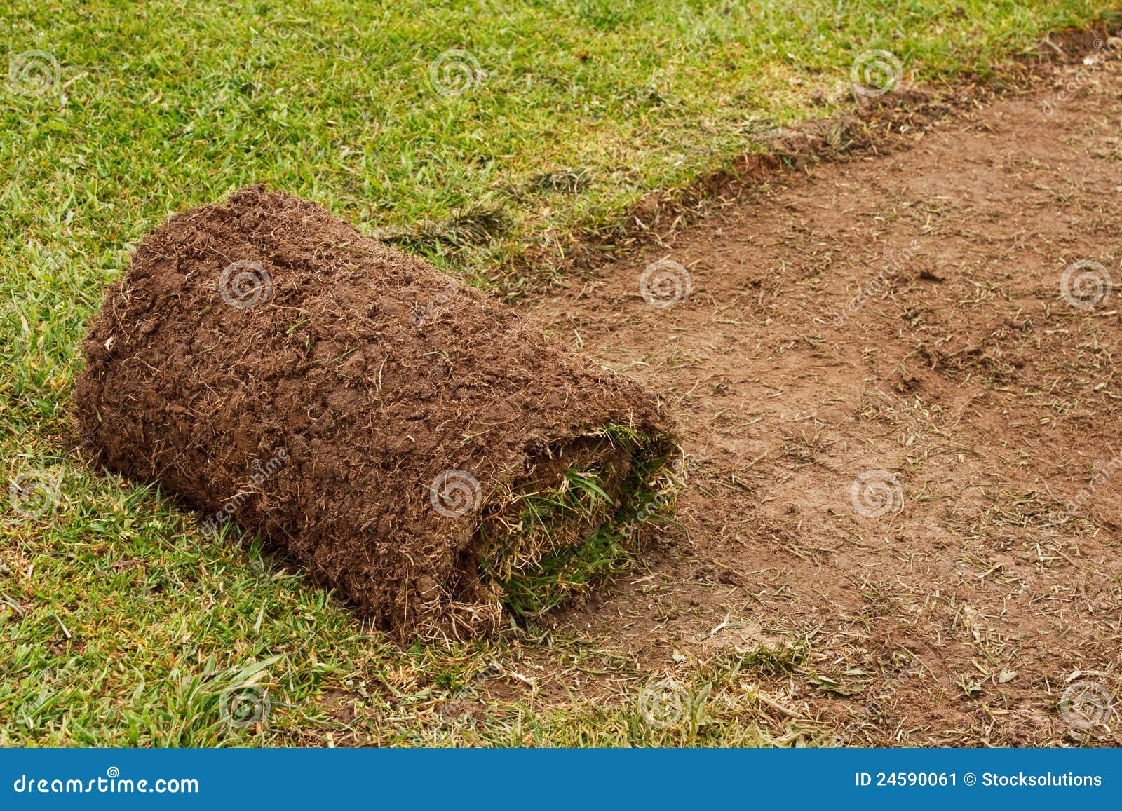 Roll of Cut Turf on Garden Lawn Stock Image - Image of grass ...