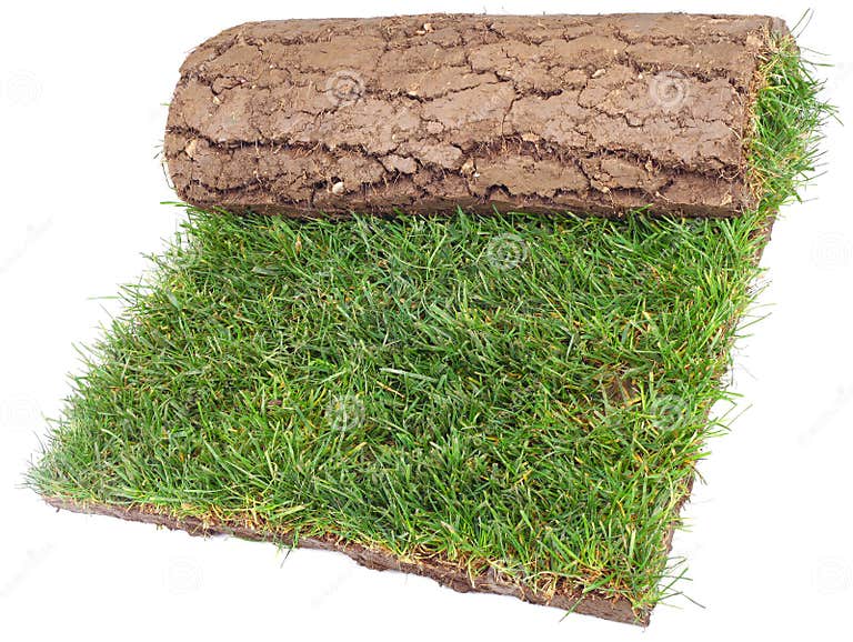 Roll of Grass Rug stock photo. Image of peeled, cover - 25295650