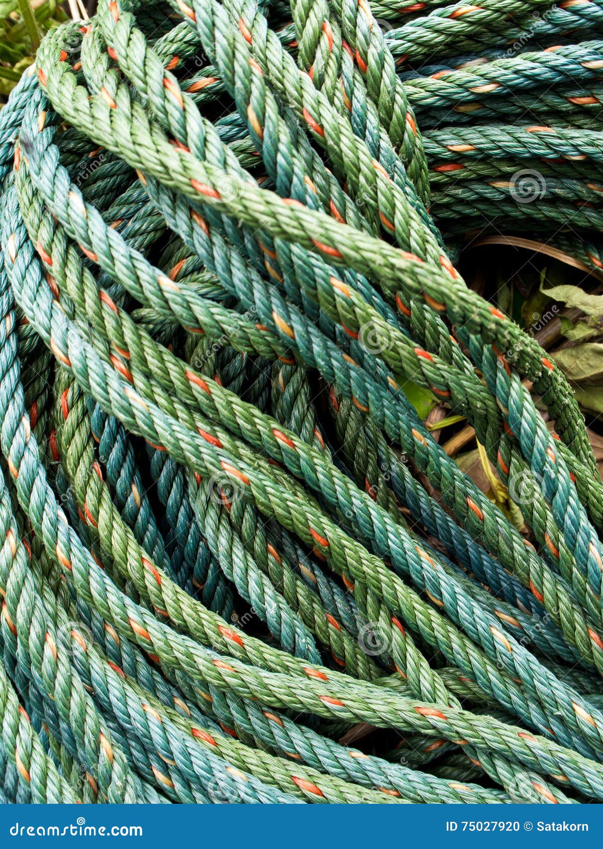 Roll of green nylon rope stock photo. Image of nylon - 75027920