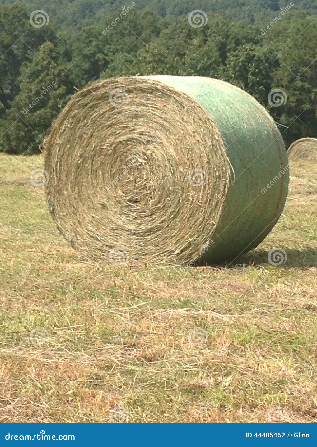 Roll of hay stock photo. Image of roll, rolled, bundle - 44405462