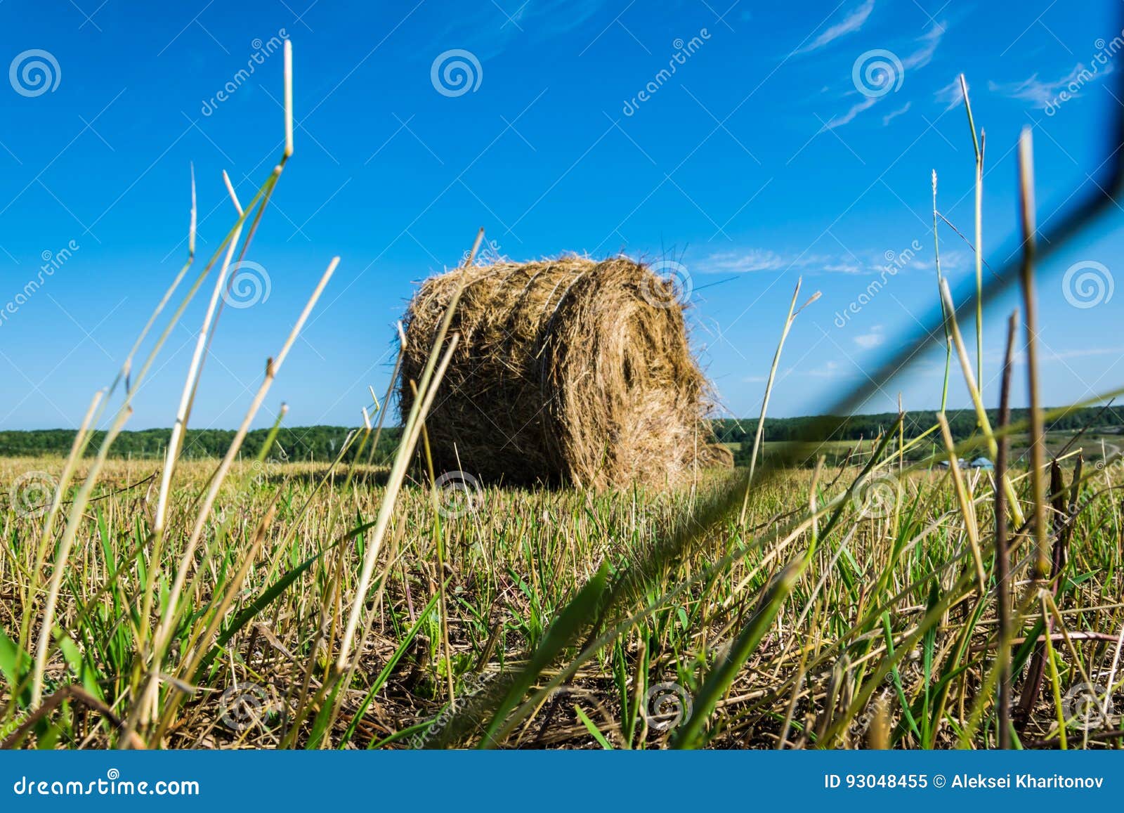 A roll of hay in the field stock image. Image of golden - 93048455