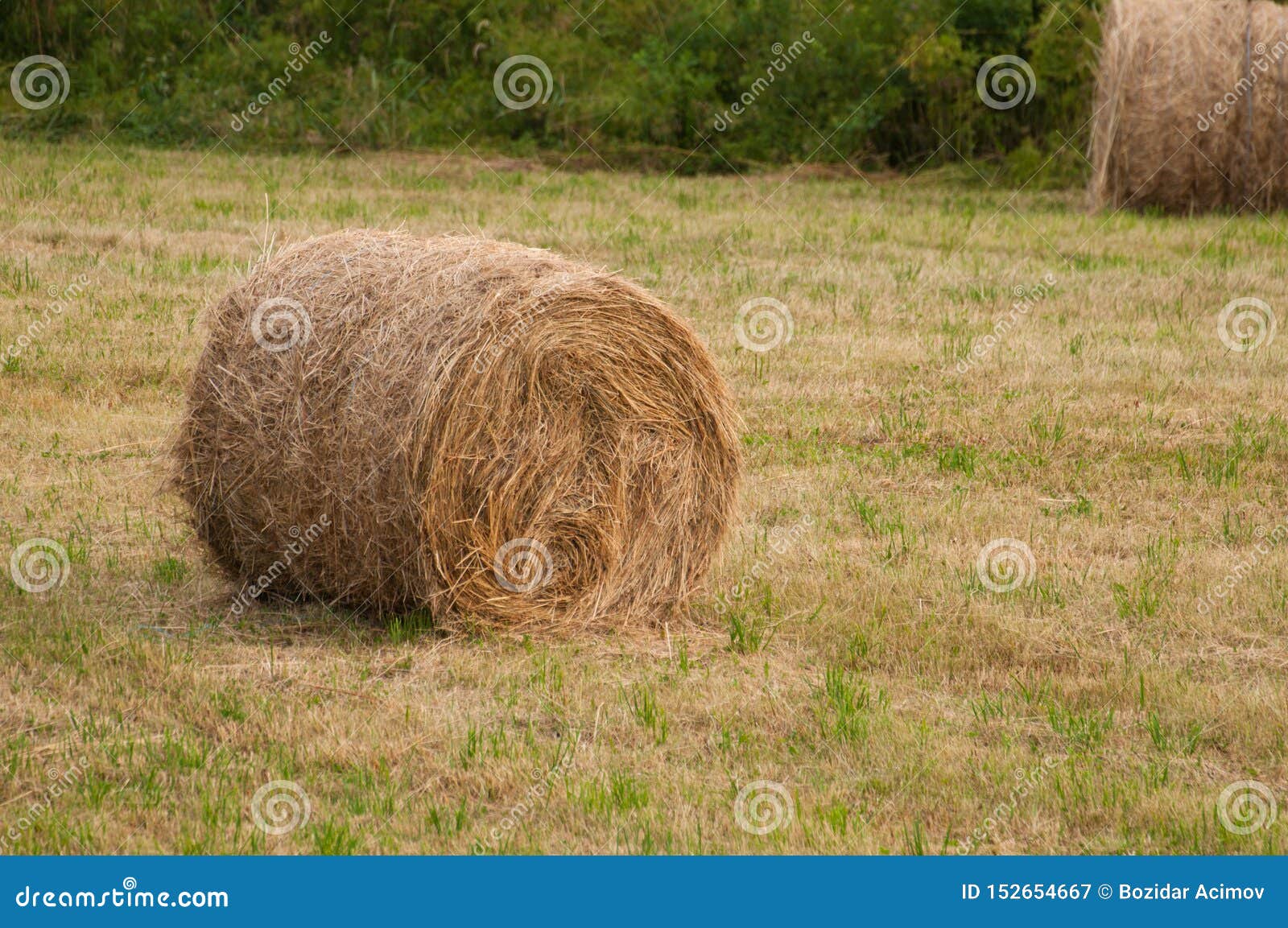 Roll of Haystack in a Meadow.Nature Stock Image - Image of haystack ...