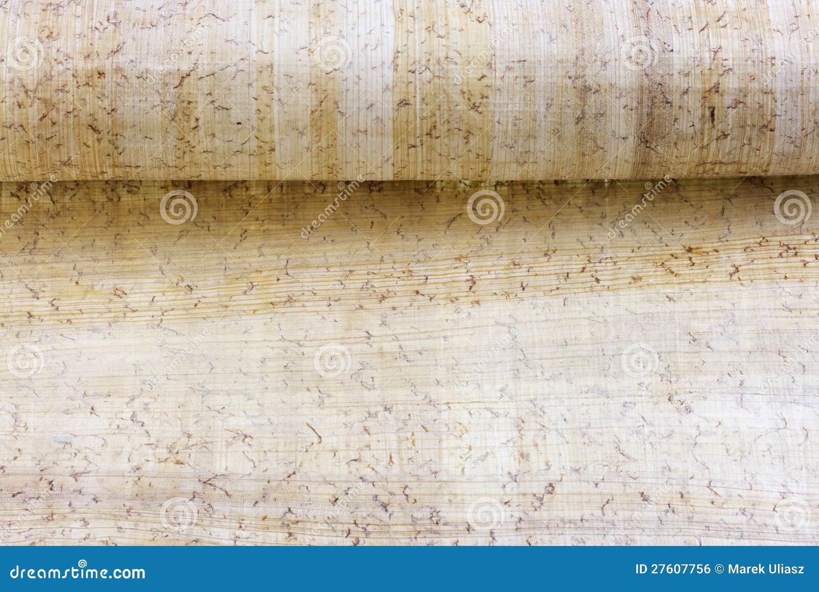 Roll of papyrus stock photo. Image of material, papyrus - 27607756