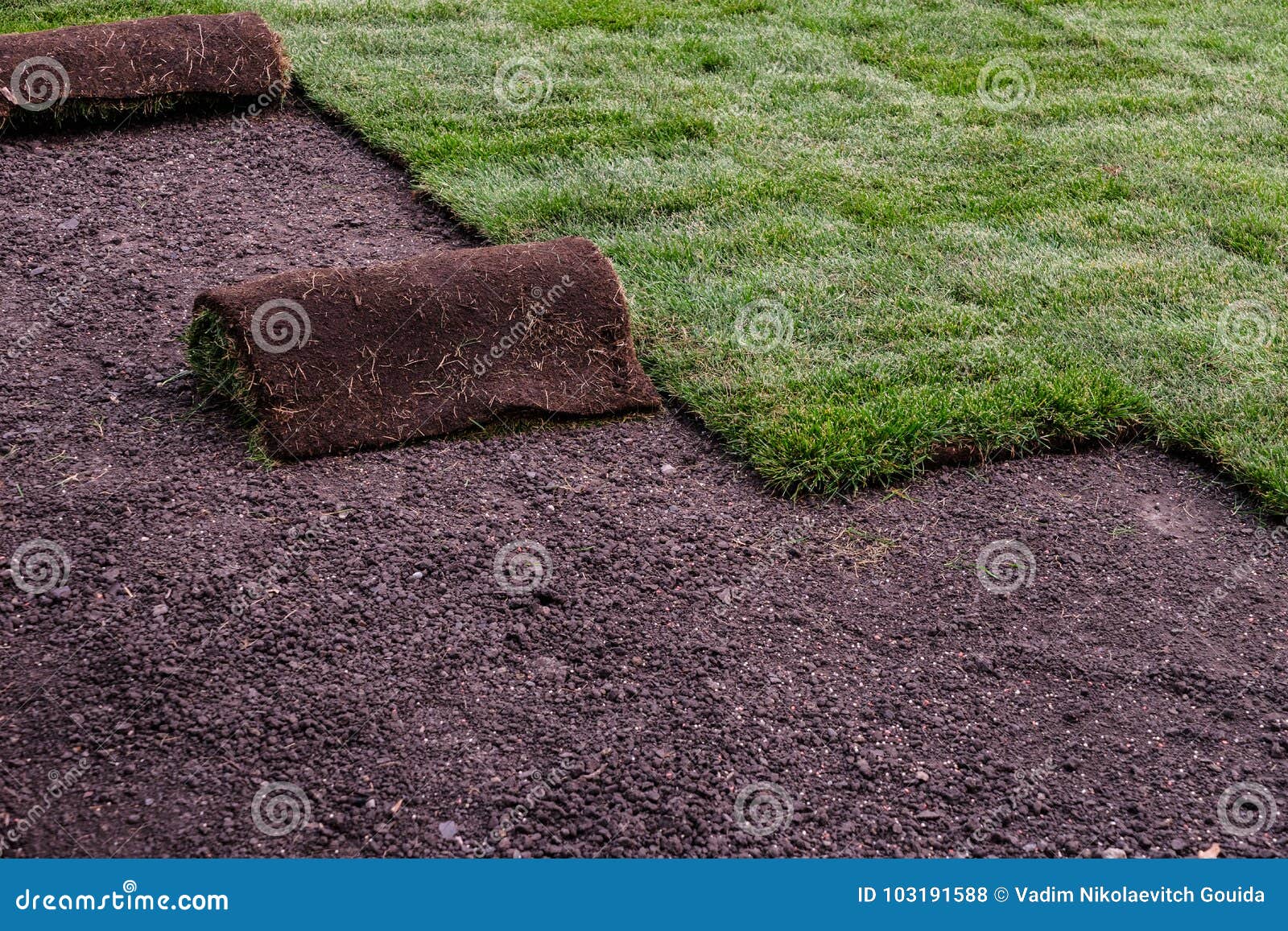 Landscaping Work - Roll of Sod Stock Photo - Image of landscaping, city ...