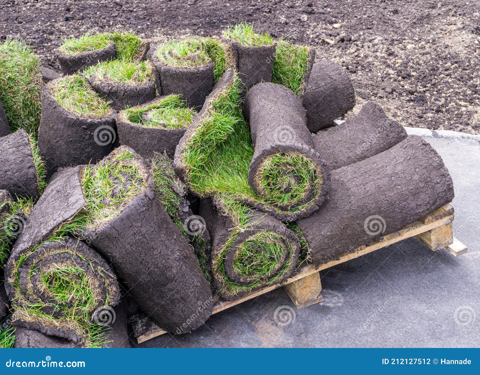 Roll turf on pallet stock photo. Image of turf, improvement - 212127512