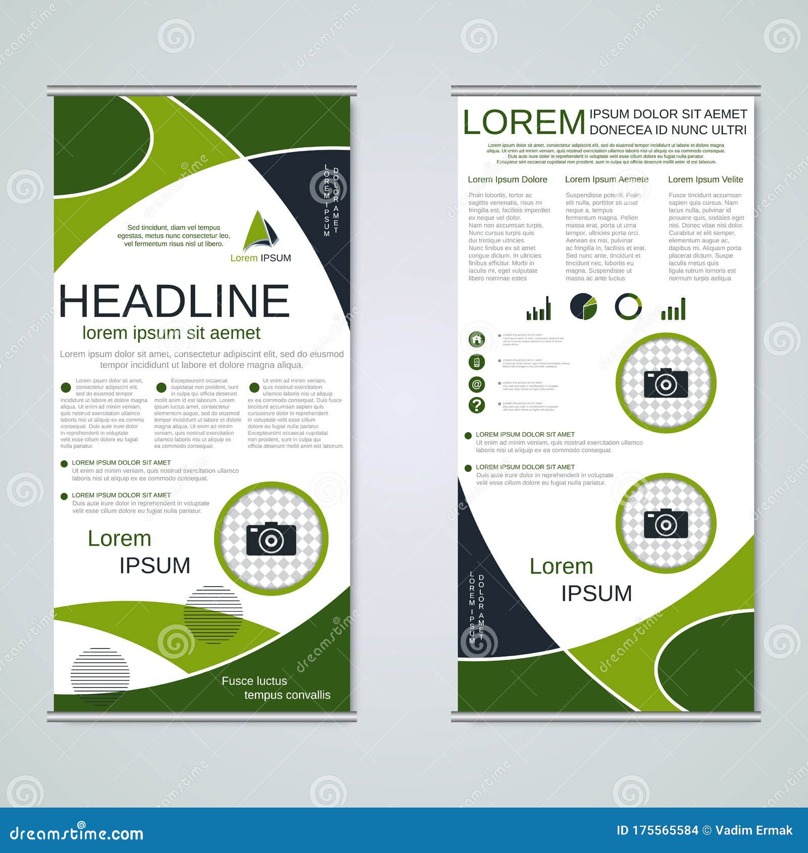 Modern Roll-up Business Banners Vector Template Stock Vector ...