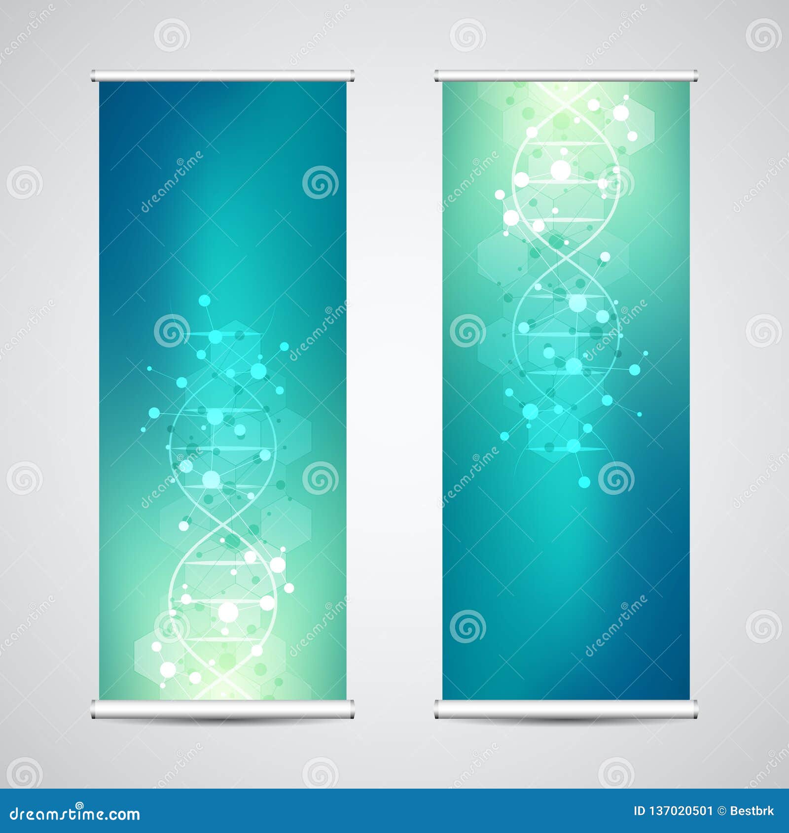 Roll Up Banner Stands with DNA Strand and Molecular Structure. Genetic ...